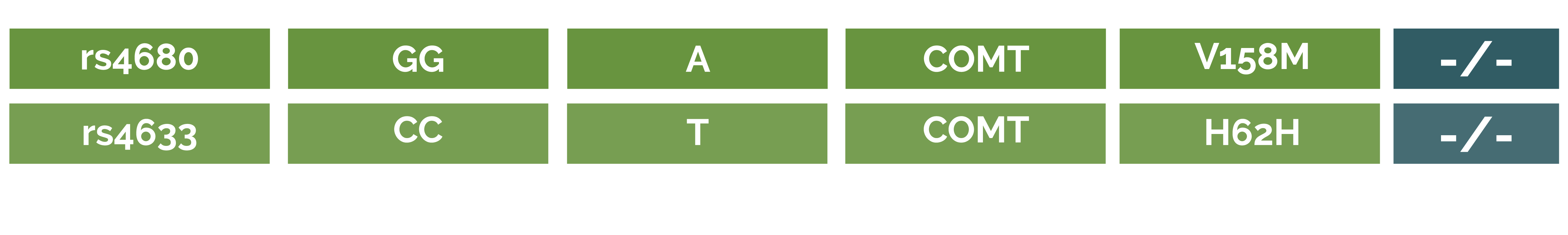 COMT gene testing that impacts mood & overall health